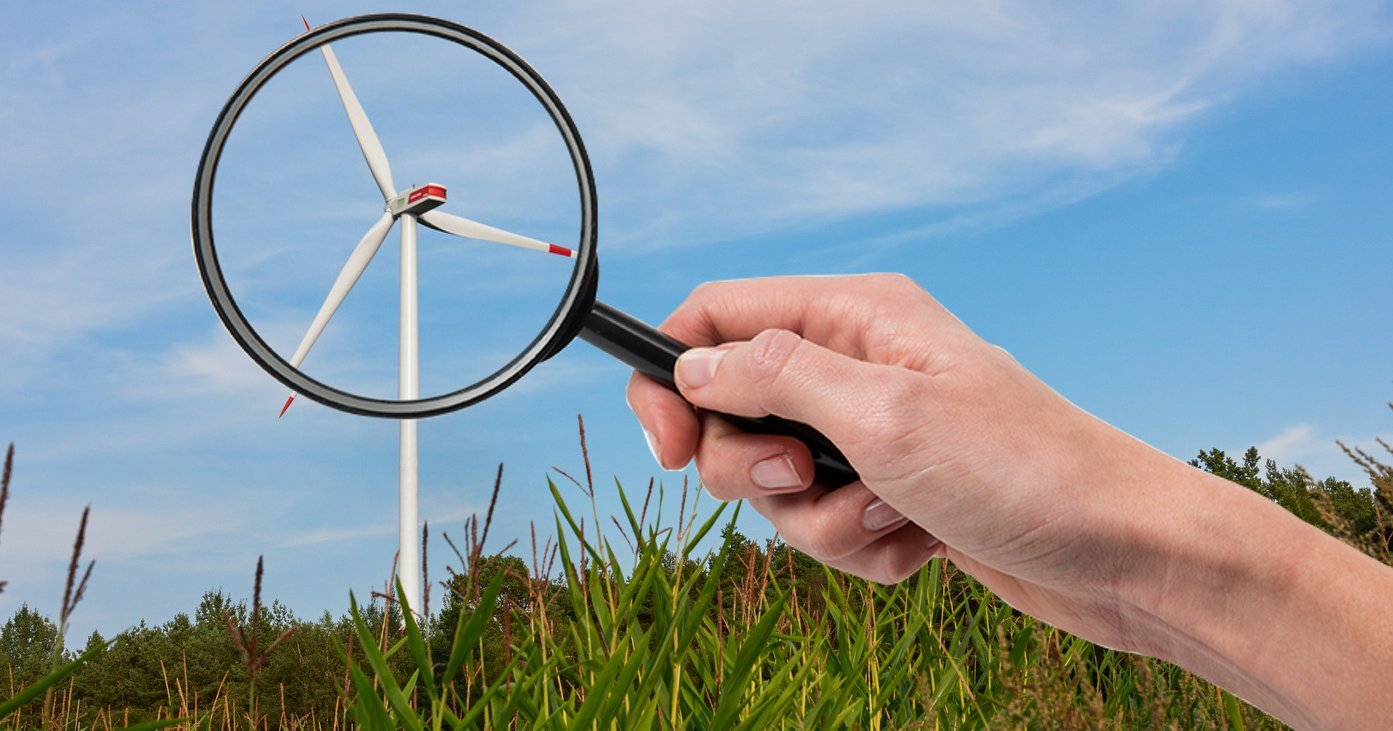 Leistungen : Green Planet Projects