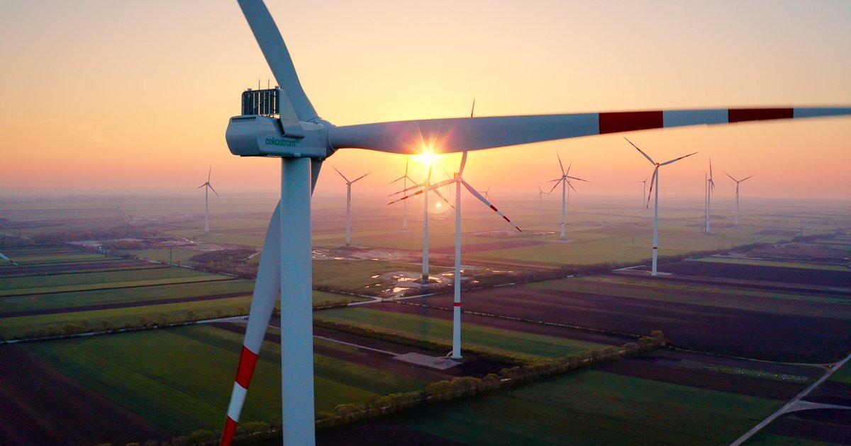 Projekte & Referenzen : Green Planet Projects